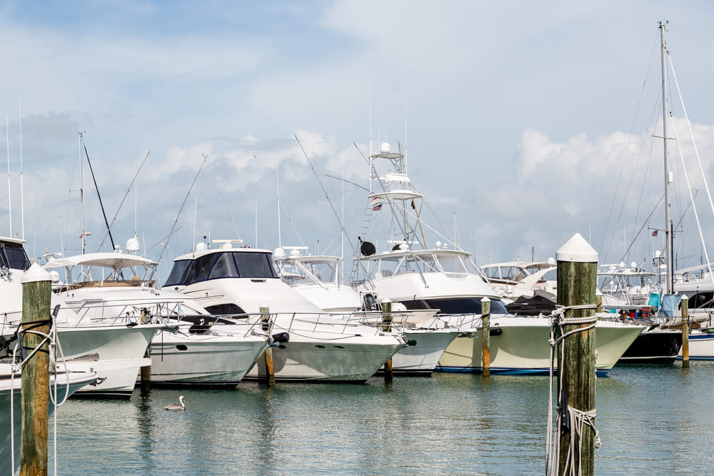 Explore the Waters of Florida with Big Marco Boat Rentals - U.S Outdoor ...